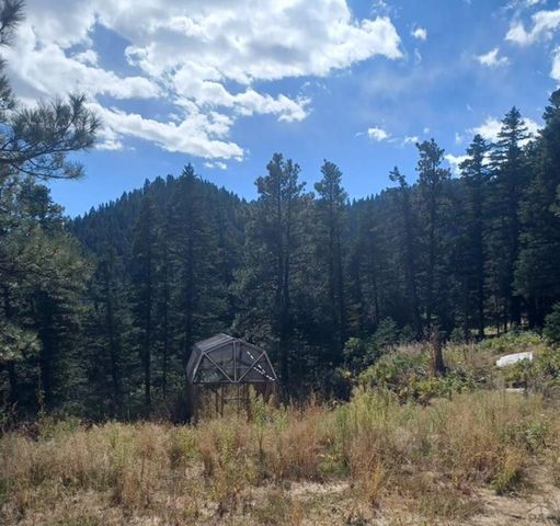 Rye, CO Homes For Sale & Real Estate