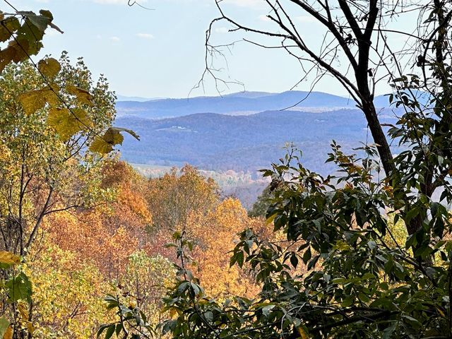 Woolwine, VA Homes For Sale & Real Estate