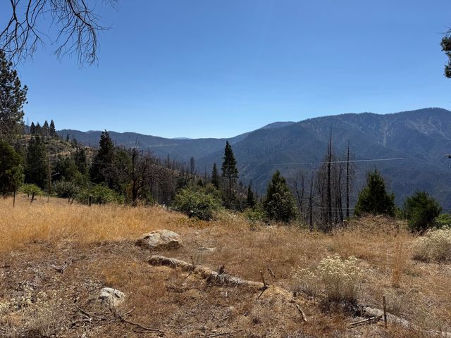 Springville, CA Homes For Sale & Real Estate