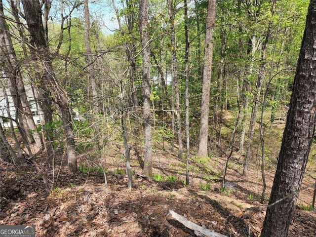 Berkeley Lake, GA Homes For Sale & Real Estate