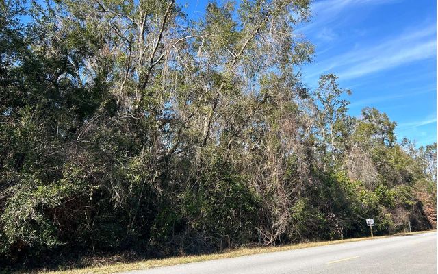 Fort White, FL Homes For Sale & Real Estate