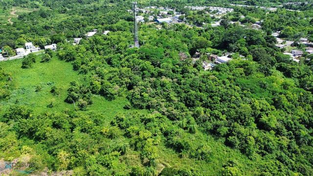 Rio Grande, PR Homes For Sale & Real Estate