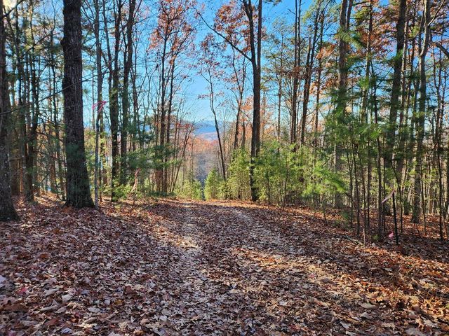 Blue Ridge, GA Homes For Sale & Real Estate