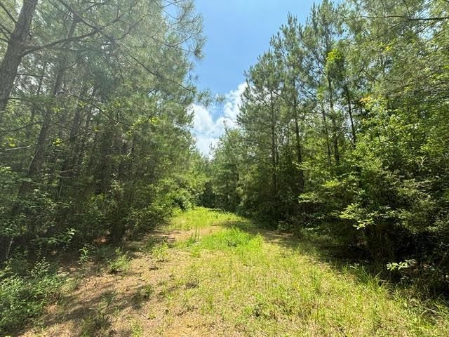 Kentwood, LA Homes For Sale & Kentwood, LA Real Estate | Trulia