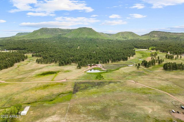 Alpine, AZ Homes For Sale & Alpine, AZ Real Estate | Trulia