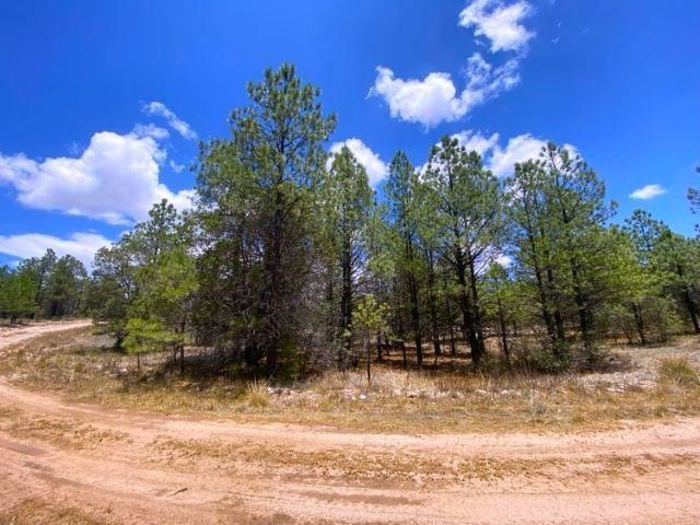 Timberon, NM Homes For Sale & Timberon, NM Real Estate | Trulia