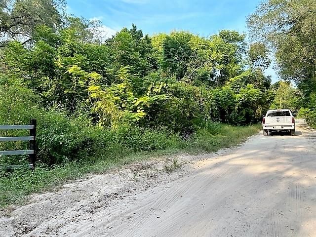 Silver Springs, FL Homes For Sale & Real Estate