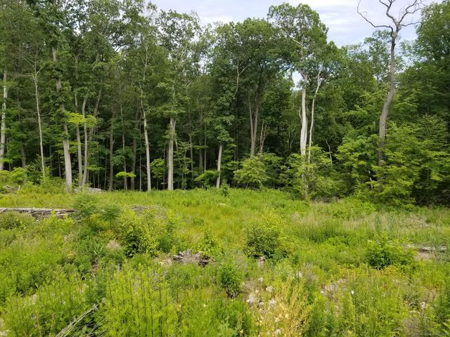 Brookfield, CT Homes For Sale & Real Estate