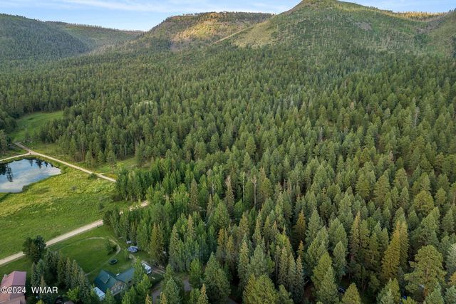 Alpine, AZ Homes For Sale & Real Estate