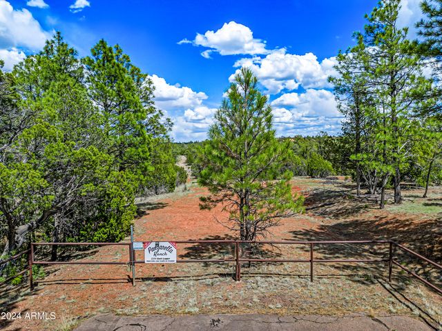 Overgaard, AZ Homes For Sale - Updated Daily