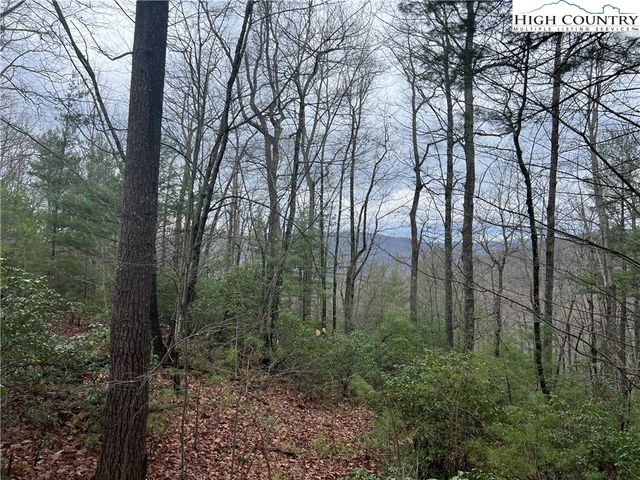 Purlear, NC Homes For Sale & Purlear, NC Real Estate | Trulia