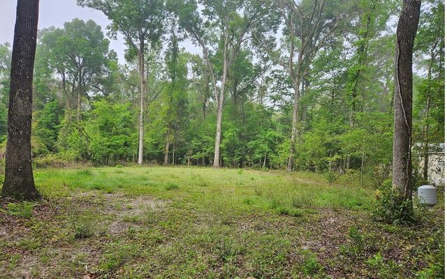 Fort White, FL Homes For Sale & Real Estate