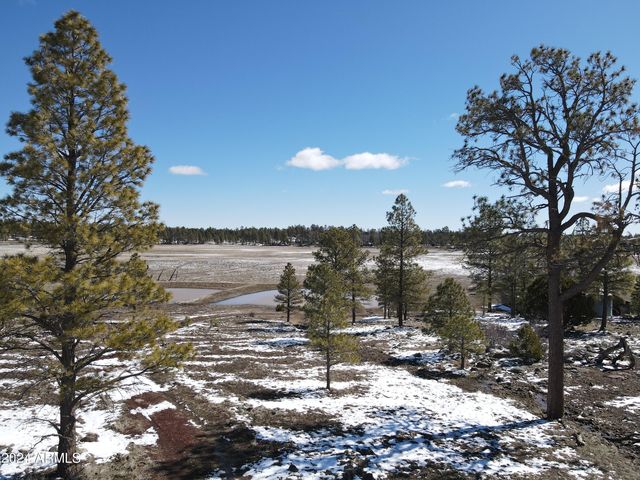 Mormon Lake, AZ Homes For Sale & Mormon Lake, AZ Real Estate | Trulia