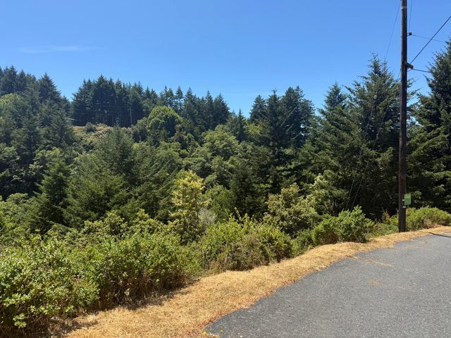 Whitethorn, CA Homes For Sale & Real Estate - 141 Homes | Trulia