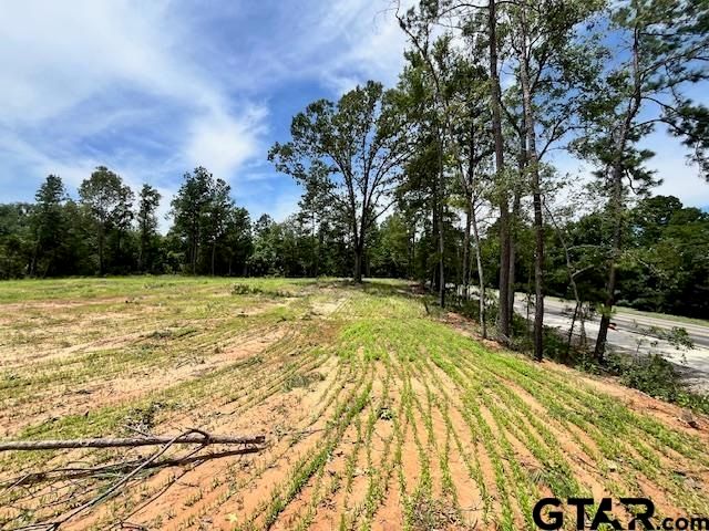 Tyler, TX Lot/Land For Sale - 380 Listings | Trulia