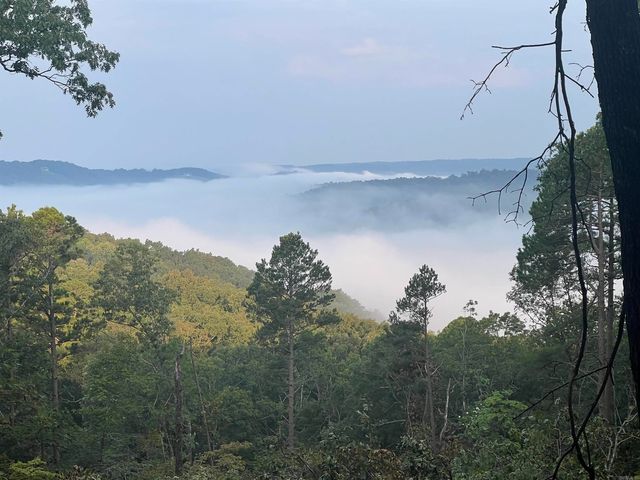 Mountain View, AR Homes For Sale & Real Estate