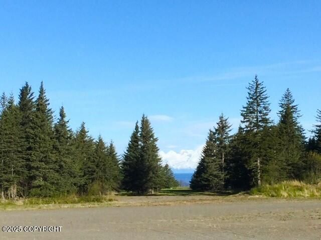 Anchor Point, AK Homes For Sale & Real Estate