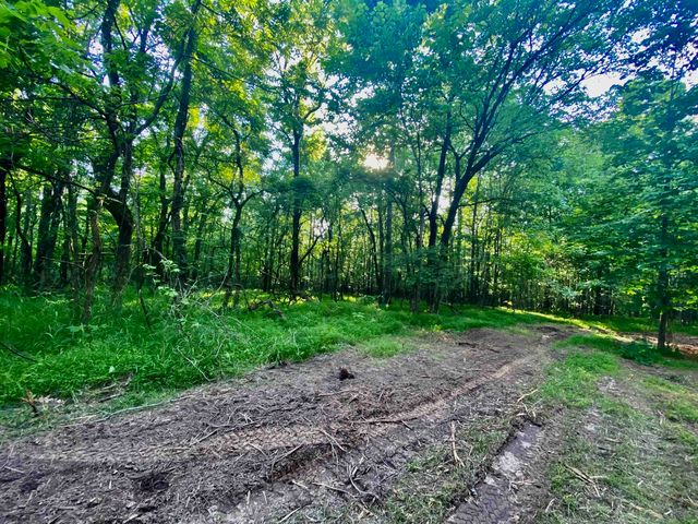 Moscow, TN Homes For Sale & Moscow, TN Real Estate | Trulia