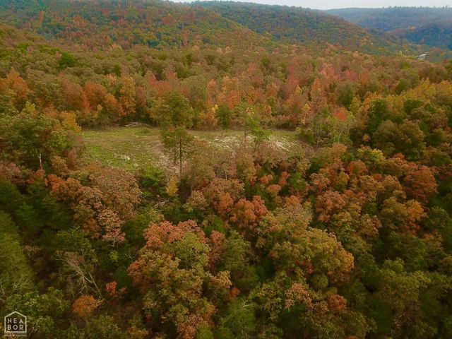 Mountain View, AR Homes For Sale & Mountain View, AR Real Estate ...