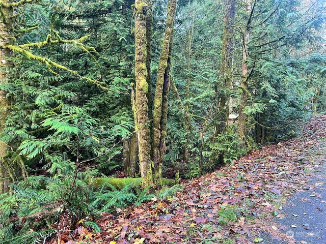 Sudden Valley, Bellingham, WA Homes For Sale & Sudden Valley ...