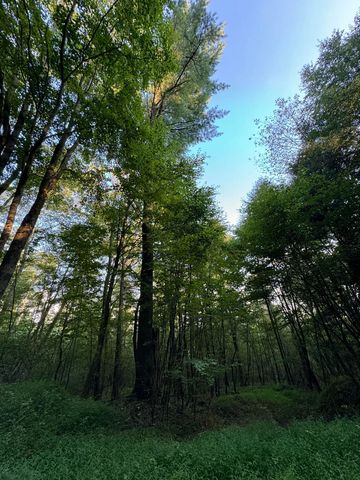 15825 Homes For Sale & 15825 Real Estate | Trulia