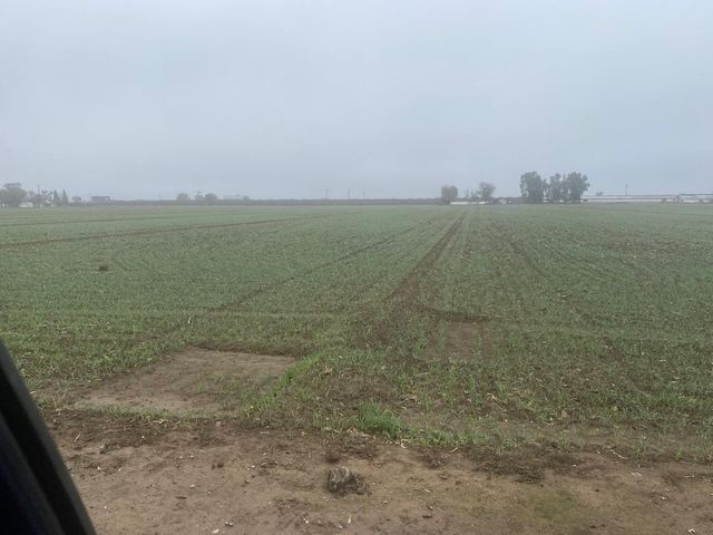 Gustine, CA Homes For Sale & Real Estate