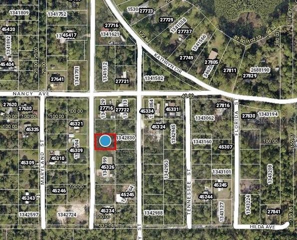 Paisley, FL Homes For Sale & Real Estate