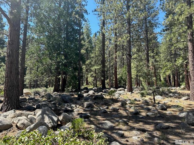 Markleeville, CA Homes For Sale & Markleeville, CA Real Estate | Trulia