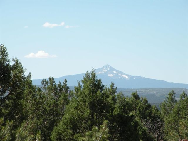 Redvale, CO Homes For Sale & Redvale, CO Real Estate | Trulia