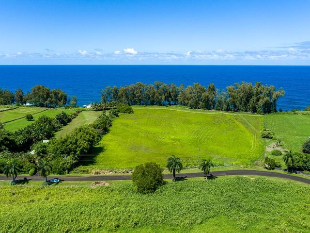 Honomu, HI Homes For Sale & Honomu, HI Real Estate | Trulia