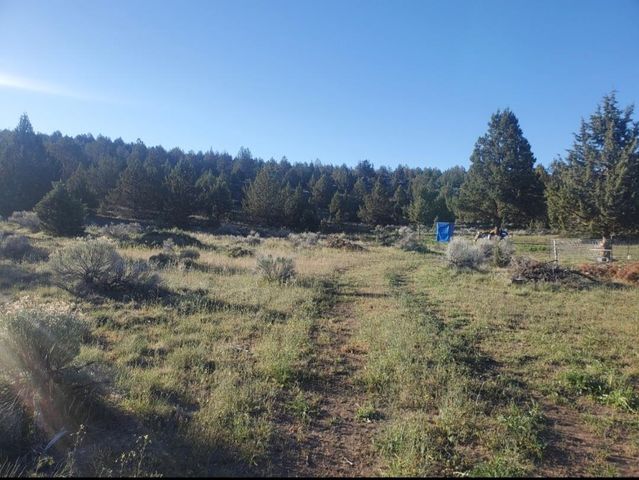 Macdoel, CA Homes For Sale & Macdoel, CA Real Estate | Trulia