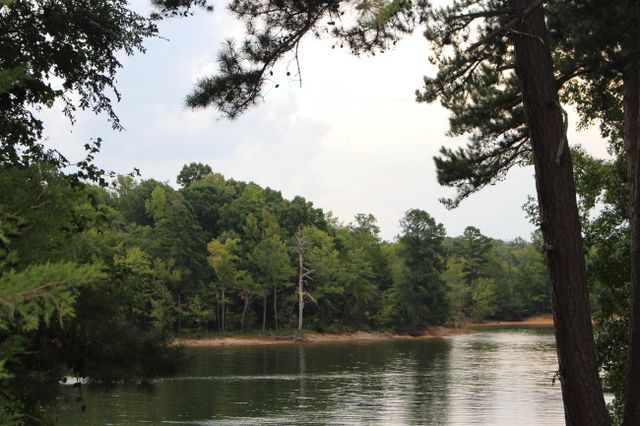 Houses for Rent Near Me - Find Nearby Rental Homes | Trulia