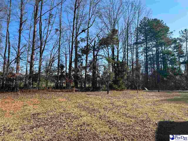 Wallace, SC Homes For Sale & Wallace, SC Real Estate | Trulia