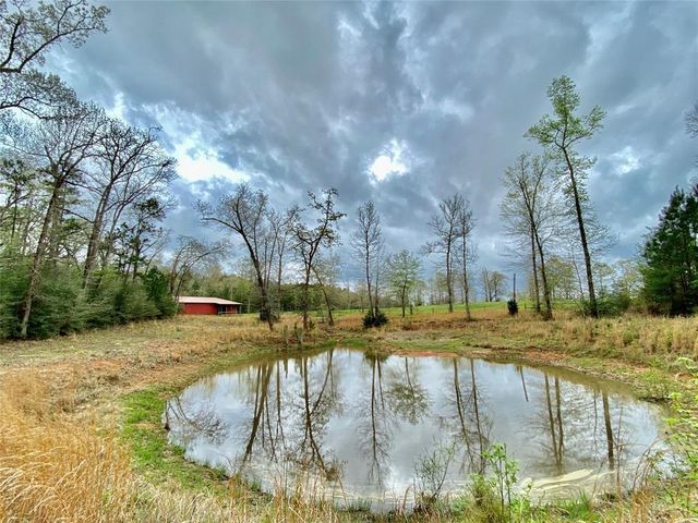 Colmesneil, TX Homes For Sale & Colmesneil, TX Real Estate | Trulia