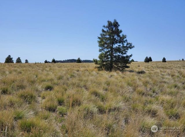 Bickleton, WA Homes For Sale & Bickleton, WA Real Estate | Trulia