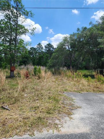 Paisley, FL Homes For Sale