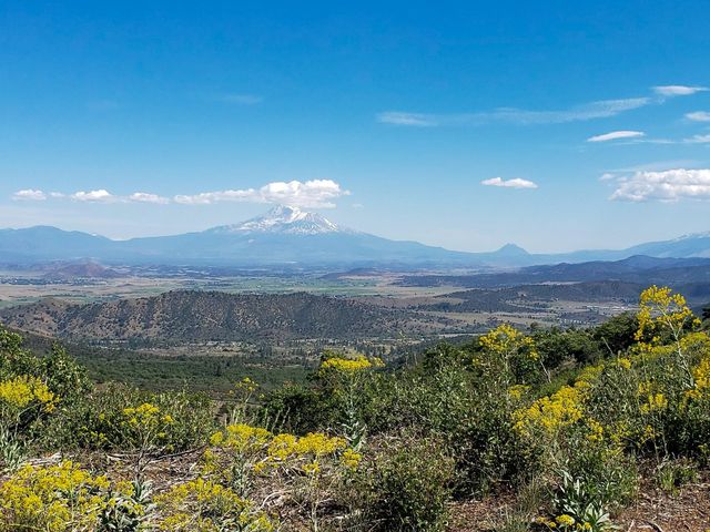 Yreka, CA Homes For Sale & Yreka, CA Real Estate | Trulia