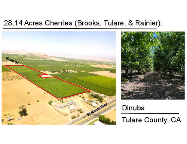 Dinuba, CA Homes For Sale & Dinuba, CA Real Estate | Trulia