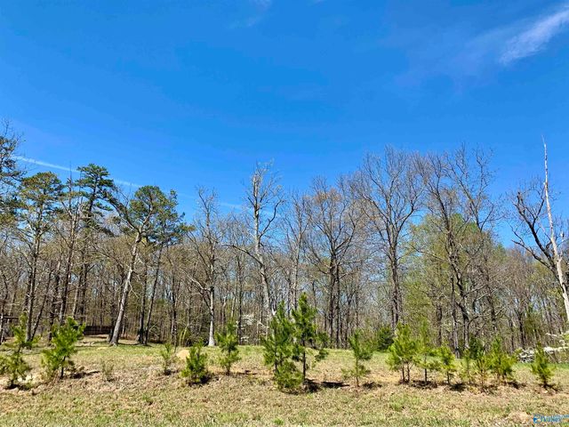 Gurley, AL Homes For Sale & Gurley, AL Real Estate | Trulia