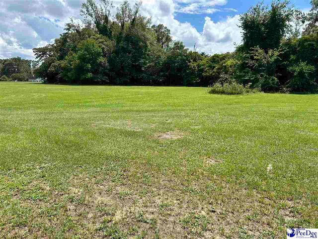 Bennettsville, SC Homes For Sale & Real Estate