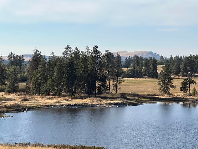 Medical Lake, WA Homes For Sale & Medical Lake, WA Real Estate | Trulia