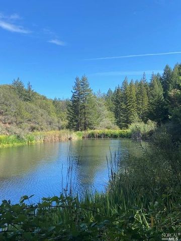 Potter Valley, CA Homes For Sale & Potter Valley, CA Real Estate | Trulia