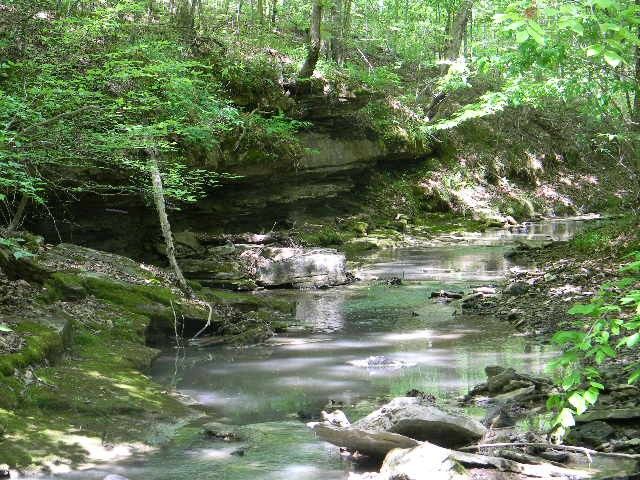 Parsons, TN Homes For Sale & Parsons, TN Real Estate | Trulia