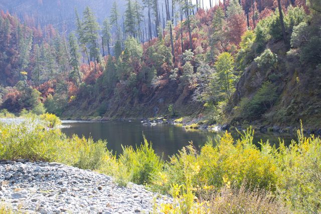 Agness, OR Homes For Sale & Agness, OR Real Estate | Trulia