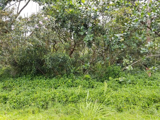 15-1724 24th Ave #118, Keaau, HI 96749 - See Est. Value, Schools & More