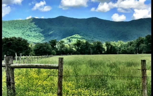 Hayesville, NC Homes For Sale & Hayesville, NC Real Estate | Trulia