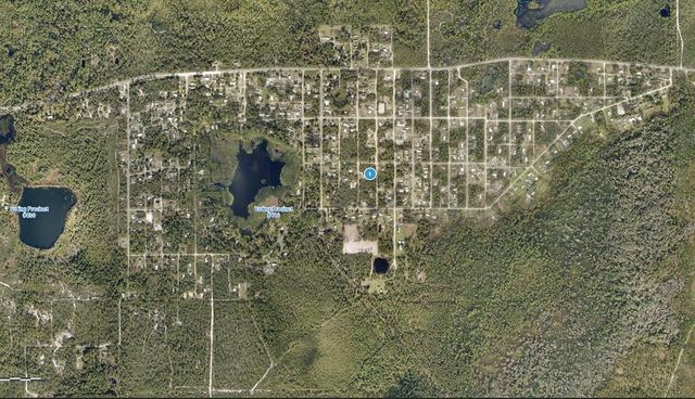 Paisley, FL Homes For Sale & Paisley, FL Real Estate | Trulia