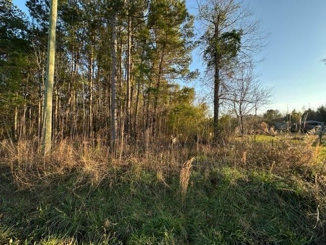 Pineville, SC Homes For Sale & Pineville, SC Real Estate | Trulia