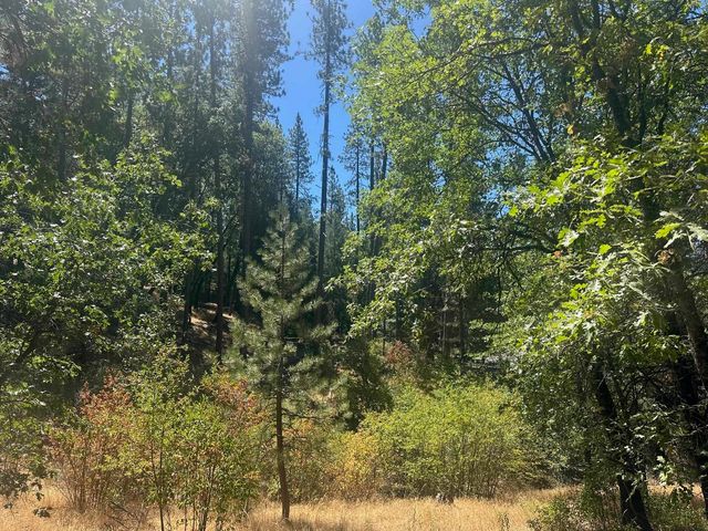 Quincy, CA Homes For Sale & Real Estate - 64 Homes | Trulia