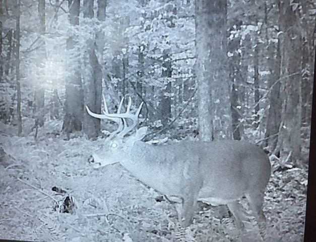 Rowe, MA Homes For Sale & Rowe, MA Real Estate | Trulia